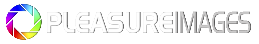 PleasureImages-logo1a | Pleasure Magazine - The lifestyle